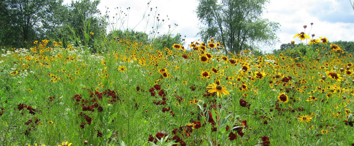 Home - Sustainable Iowa Land Trust